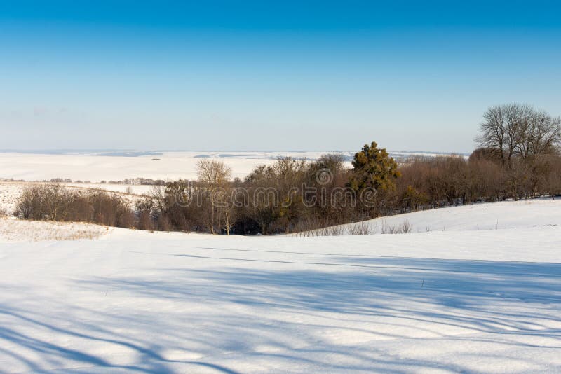 Fields in the snow stock image. Image of christmas, landscape - 137494551