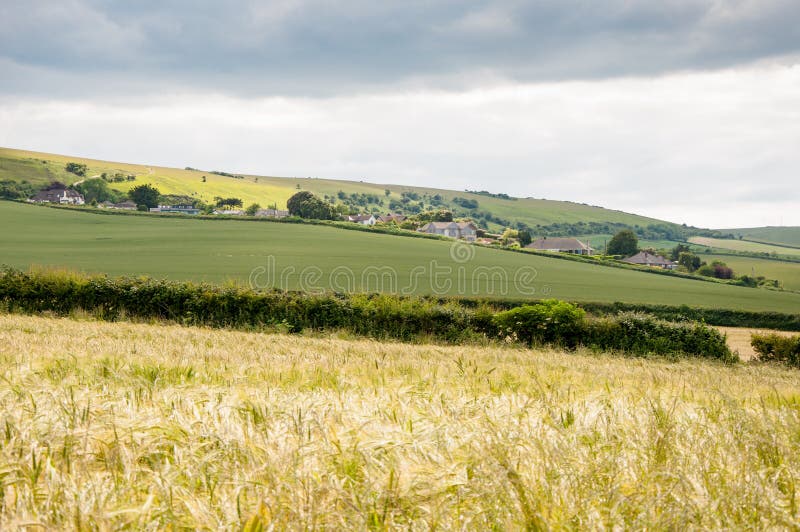 Fields in Southern England stock photo. Image of crrops - 55511746