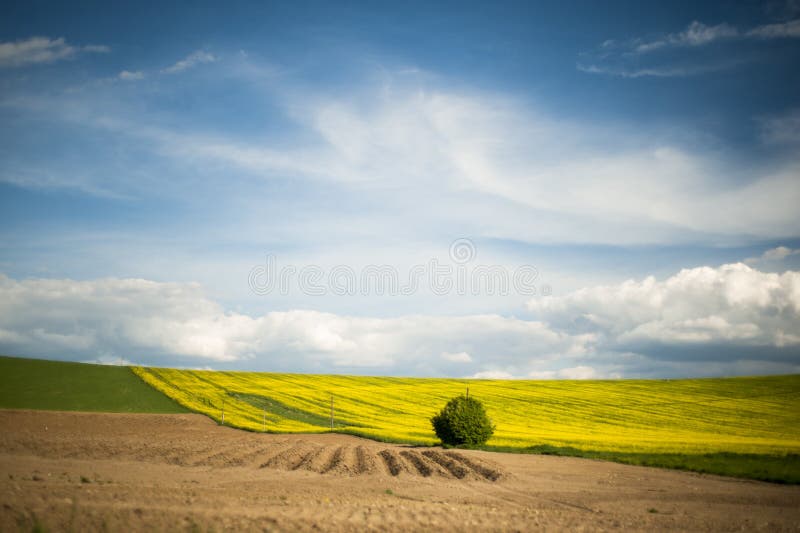 Fields in spring stock photo. Image of shallow, brown - 25150024