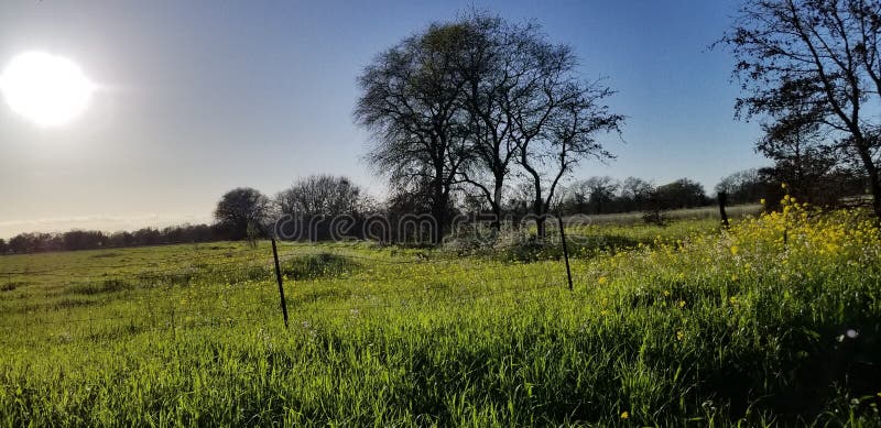 Fields of Spring stock image. Image of vivid, color - 144278469