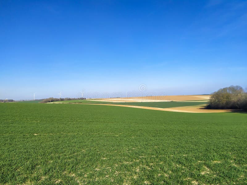 Fields in spring stock image. Image of northern, blue - 215415141