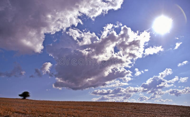Fields Stretch Out Under the Immense Sky and the Sun Stock Image ...