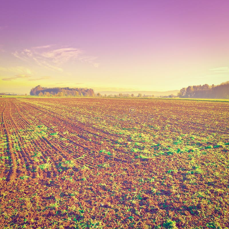 Fields at Sunrise stock photo. Image of country, agriculture - 87661010