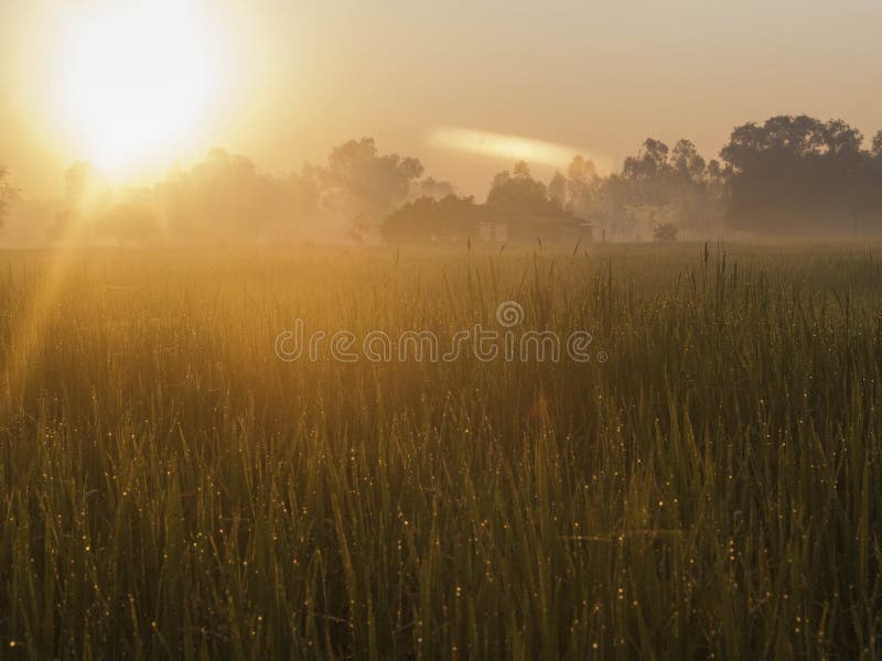 Fields Sunrise stock image. Image of fields, atmosphere - 45367627