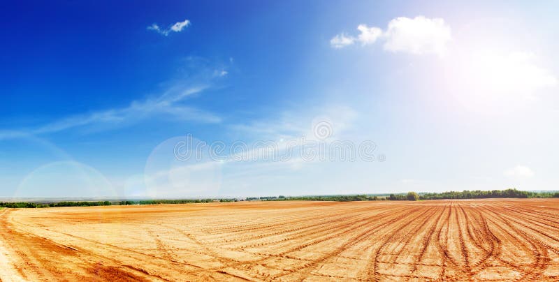 Fields to russia stock photo. Image of horizontal, farm - 16955836