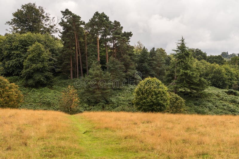 Fields and Trees Around the Sevenoaks Countryside Stock Photo - Image ...