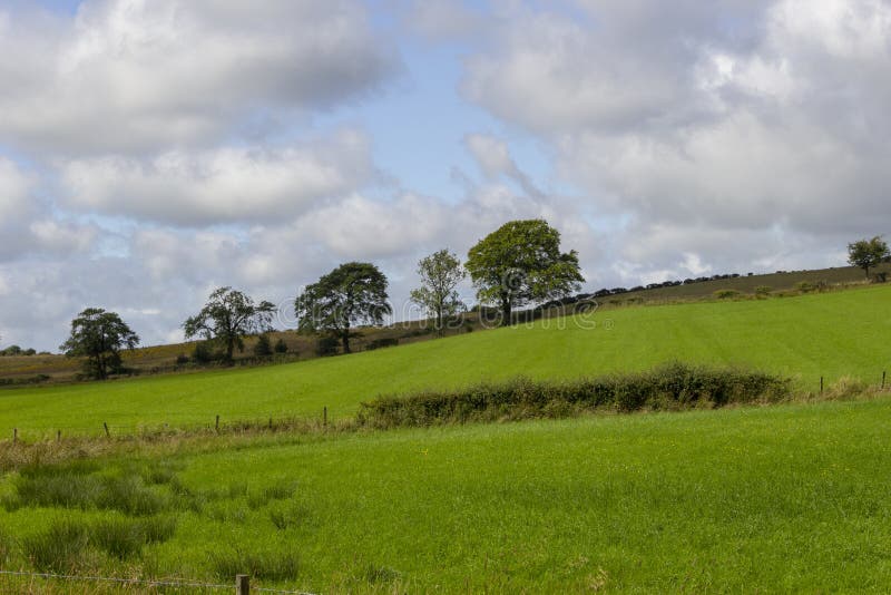 Fields with Trees on the Horizon Stock Image - Image of tree, field ...