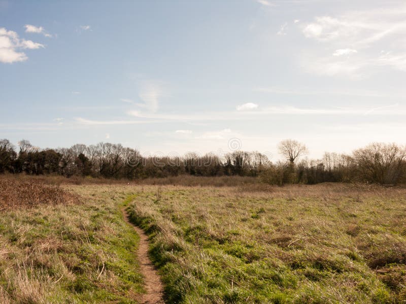 Fields and Trees in the Outback Stock Photo - Image of plant, fields ...