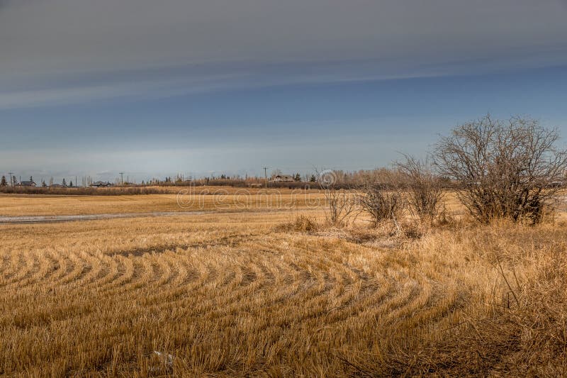 Fields, Trees and Ponds in Indus, Alberta, Canada Stock Image - Image ...