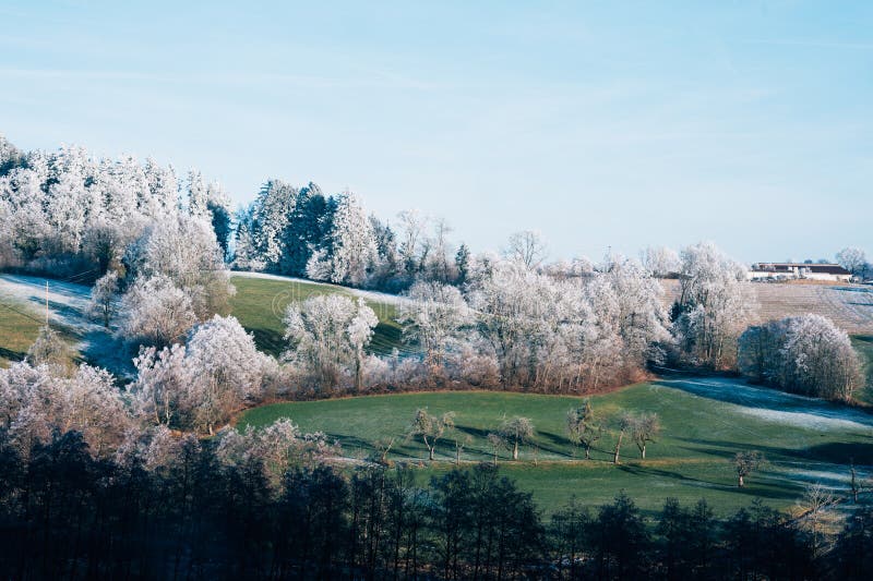 Fields and Trees in Southern Germany Stock Image - Image of germany ...