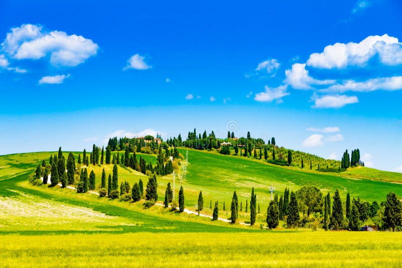Fields in Tuscany, Italy stock photo. Image of plant - 129629128