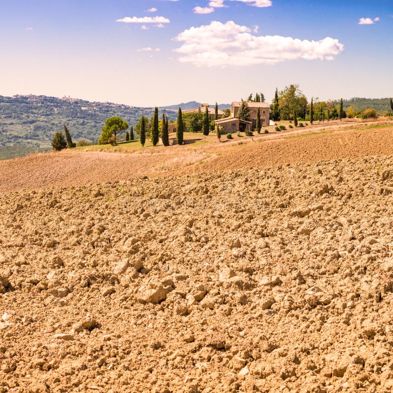Fields in Tuscany stock image. Image of nature, farm - 60544881