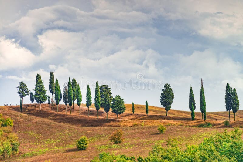 Fields in Tuscany stock image. Image of chianti, horizon - 60566167