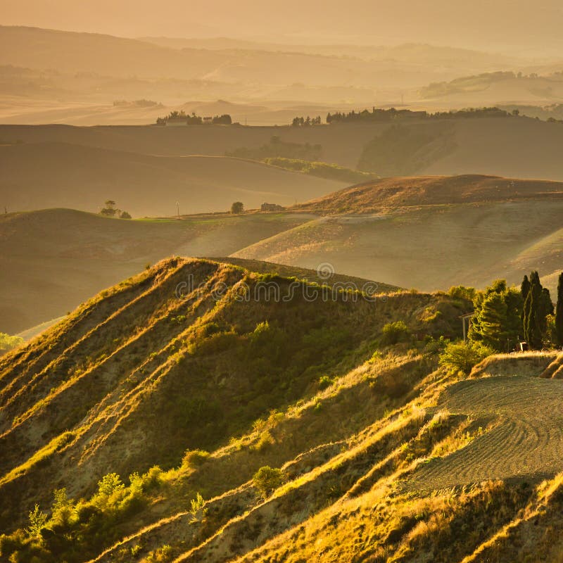 Fields in Tuscany stock image. Image of europe, nature - 64871151