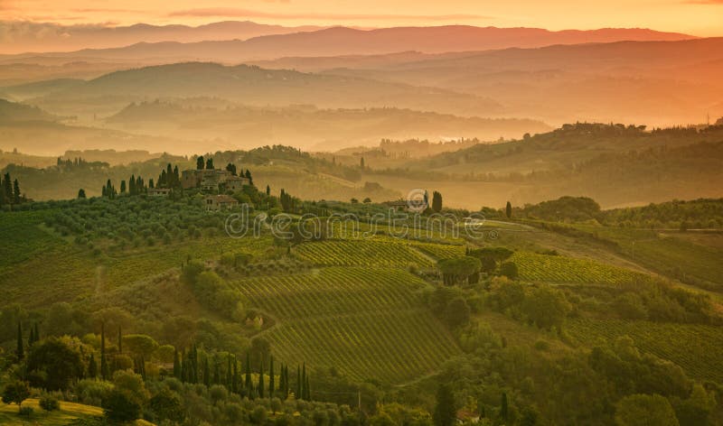 Fields in Tuscany stock photo. Image of cypress, hill - 65974530
