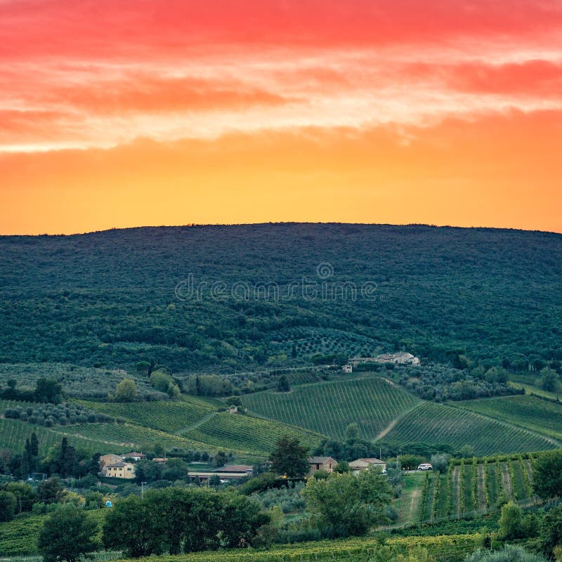 Fields in Tuscany stock photo. Image of horizon, autumn - 71284362