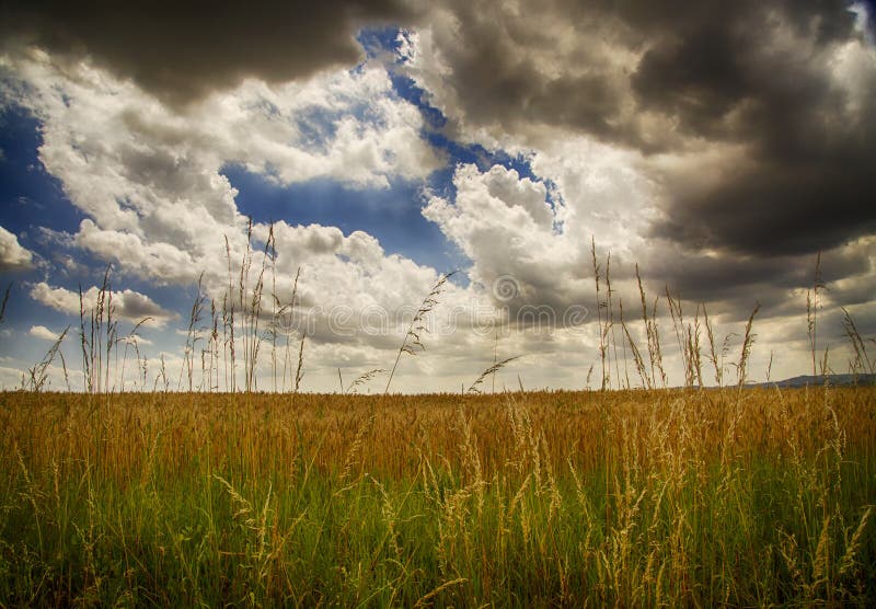 Fields under cloudy sky stock image. Image of land, crop - 73077335