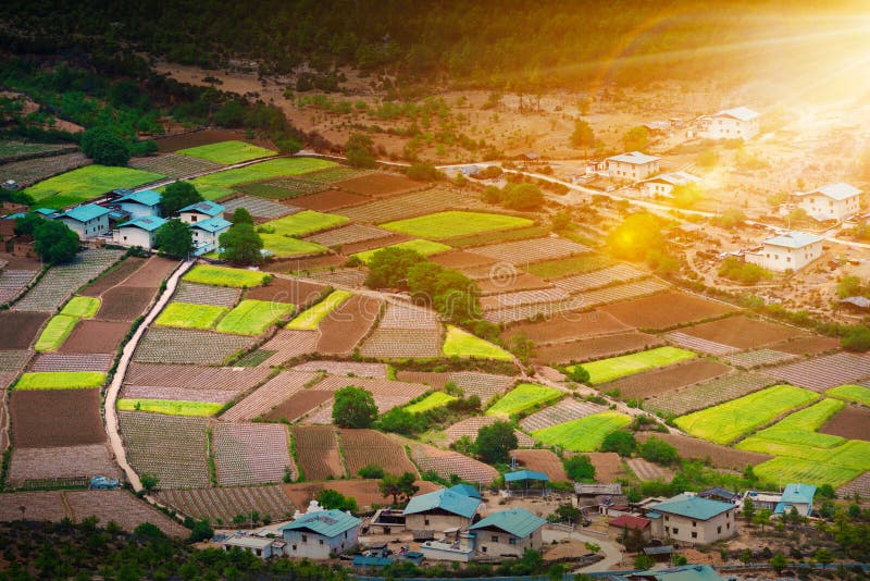 Fields under the sunshine stock image. Image of bright - 66932441