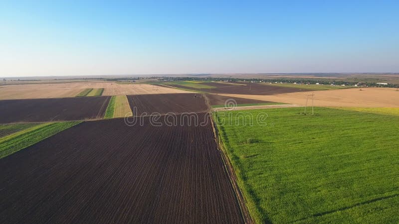 Fields with Various Types of Agriculture Stock Footage - Video of ...