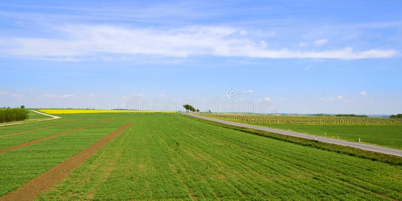 Fields and Vineyard with Road and Wind Turbines Stock Photo - Image of ...