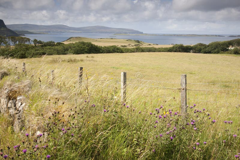 Fields in Waternish, Isle of Skye Stock Image - Image of field ...