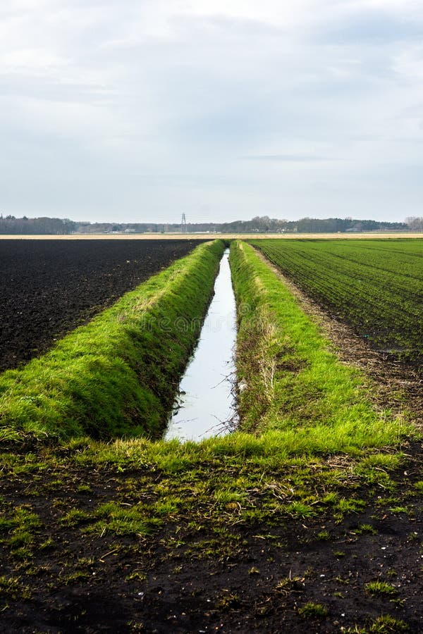 Fields in West Lancashire in Early Spring Stock Image - Image of green ...