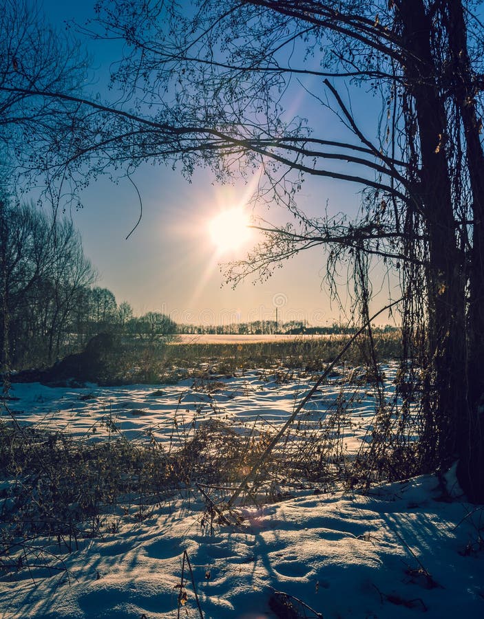Fields in winter stock photo. Image of field, winter - 175736904