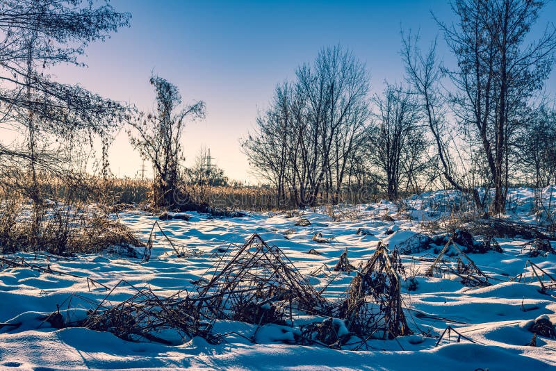 Fields in winter stock photo. Image of meadow, dawn - 175737178