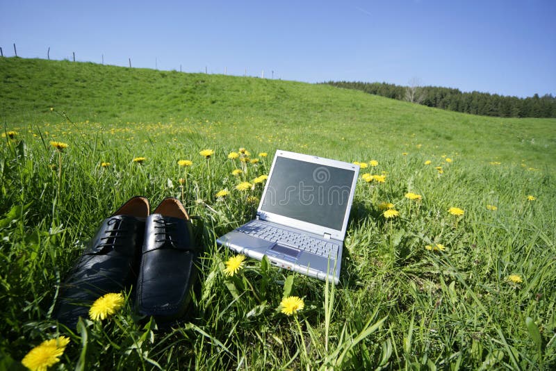 Fieldwork stock image. Image of office, flowers, countryside - 18832007