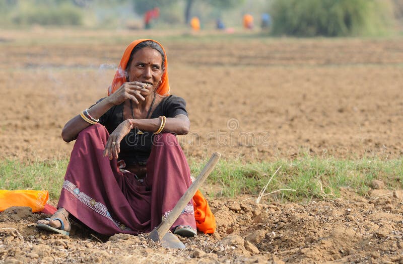 Working in the field editorial photo. Image of people - 10417171