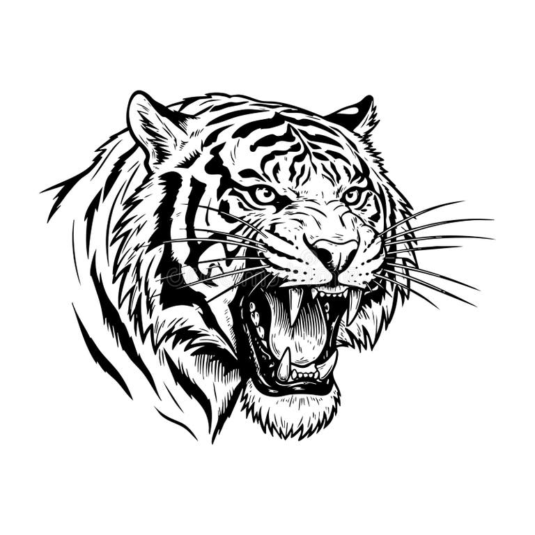 Fierce Angry Tiger Face, Perfect for Bold and Powerful Designs Stock ...