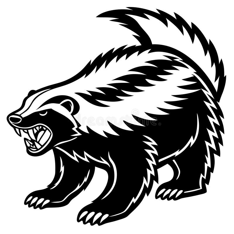 Fierce Black and White Badger Illustration Ideal for Tattoo Design and ...