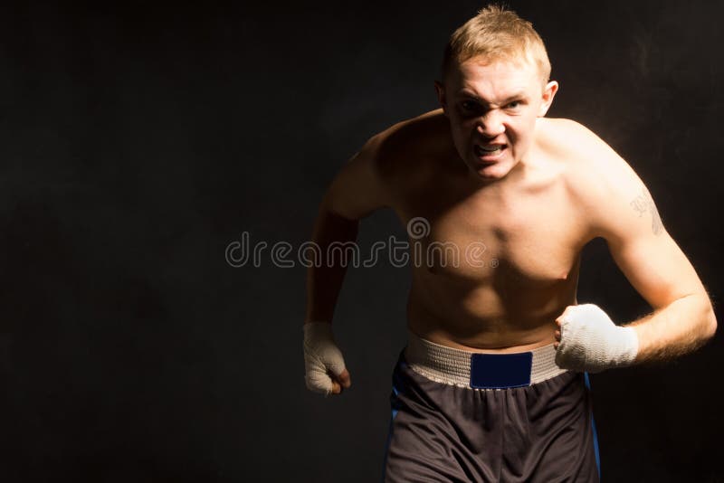 Fierce Determined Young Boxer Stock Image - Image of determined ...