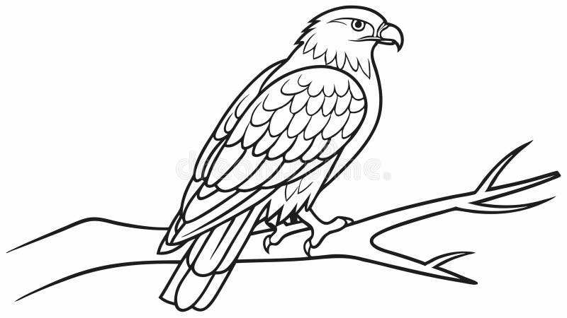 Fierce Falcon Perched on a Branch Illustration, Vector Design ...