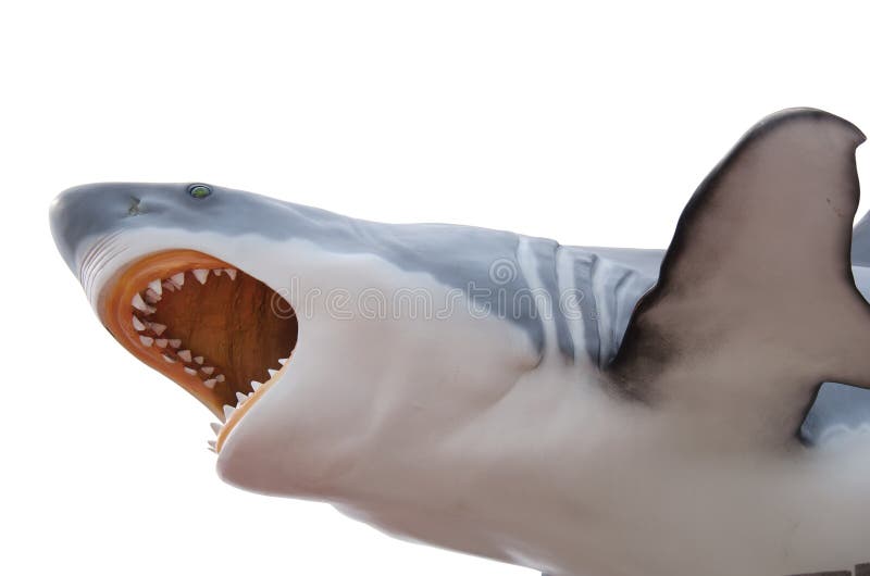 Great White Shark Mouth Open Side View