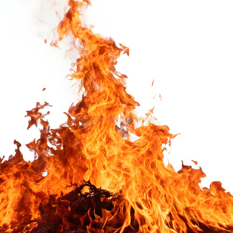 Horrible Fire Flames Isolated on White Background Stock Illustration ...