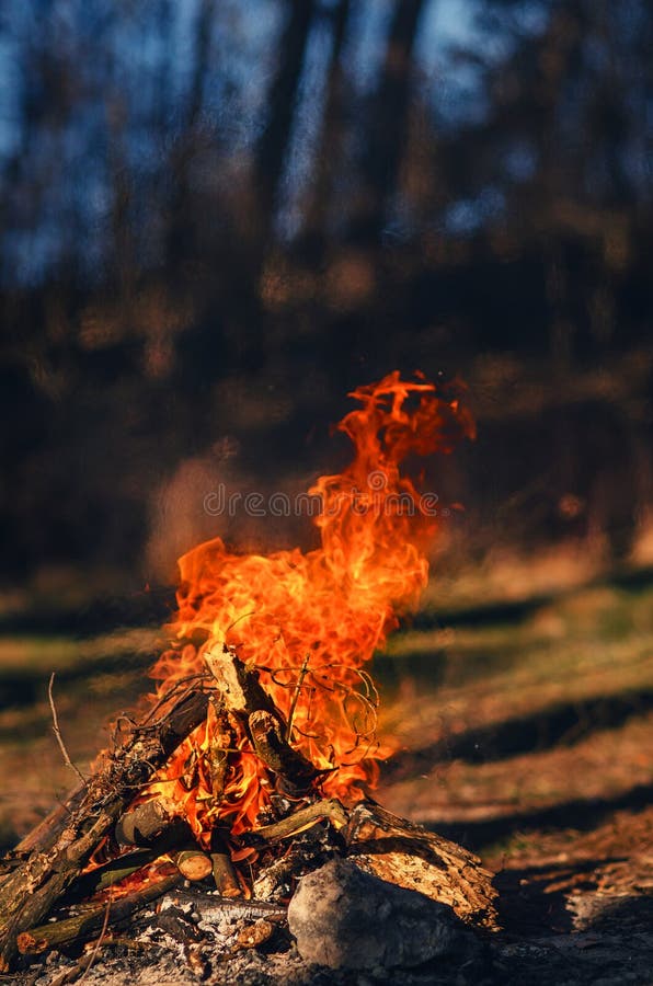 Rustic Campfire Burning in Autumn Woods with Colorful Leaves Stock ...