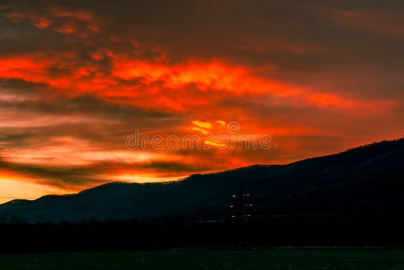 Fiery colored Kniphofia stock photo. Image of gardens - 102703030