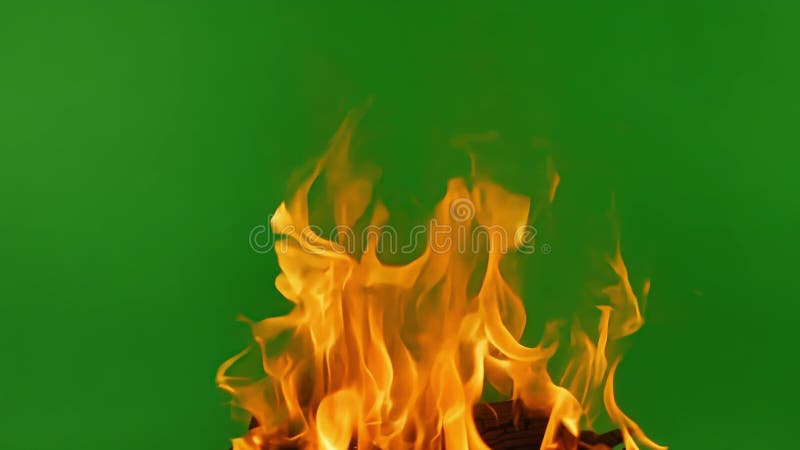 From the Fiery Core To the Outer Edges Witness the Realistic and ...