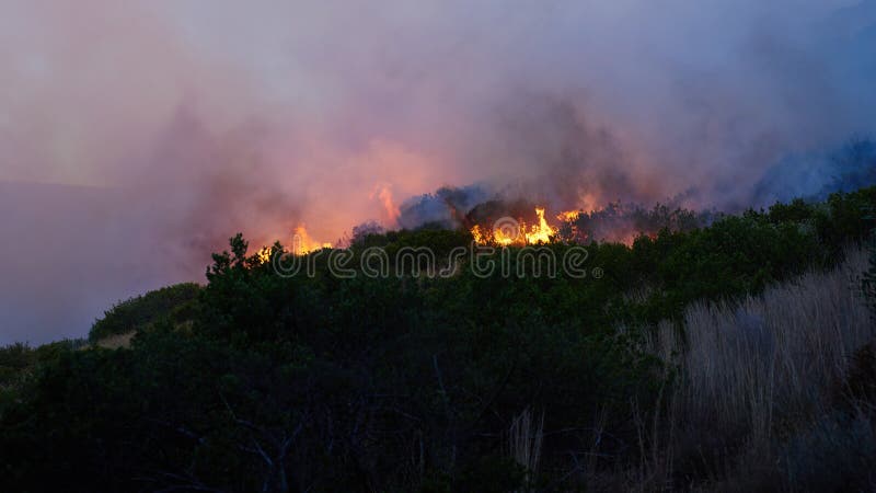 Fiery Destruction. Shot of a Wild Fire Burning. Stock Image - Image of ...
