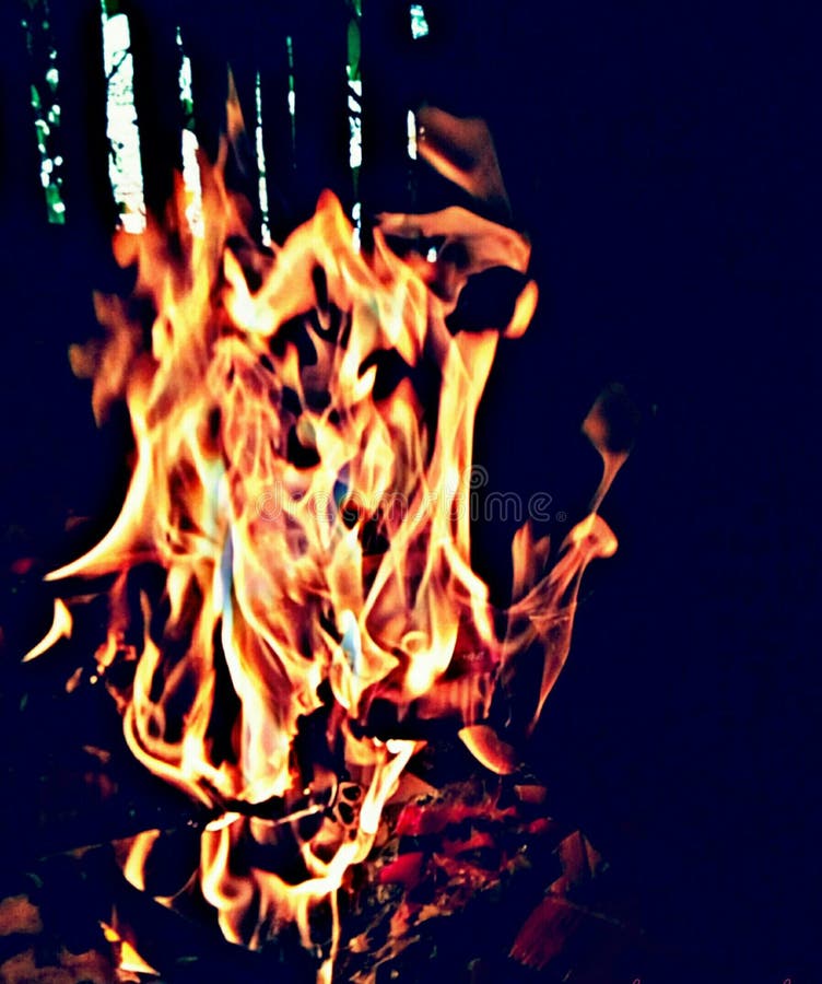 Fiery elegance stock photo. Image of raging, fiery, fire - 95955084