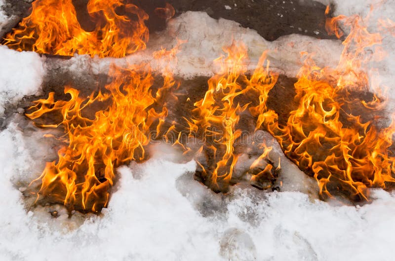 Fiery Flame on the White Snow in Winter Stock Image - Image of cold ...