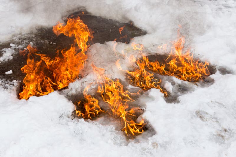 Fiery Flame on the White Snow in Winter Stock Photo - Image of fire ...