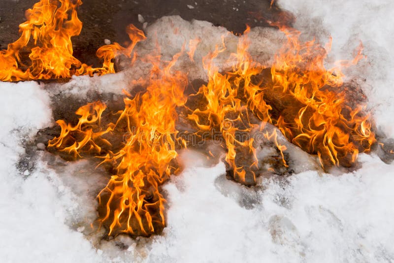 Fiery Flame on the White Snow in Winter Stock Photo - Image of ...