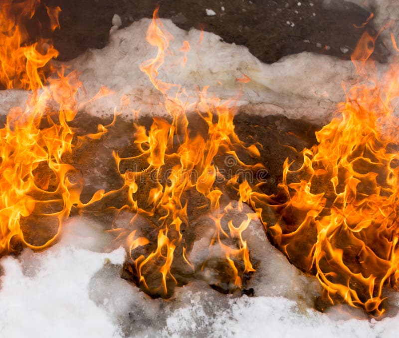 Fiery Flame on the White Snow in Winter Stock Photo - Image of winter ...