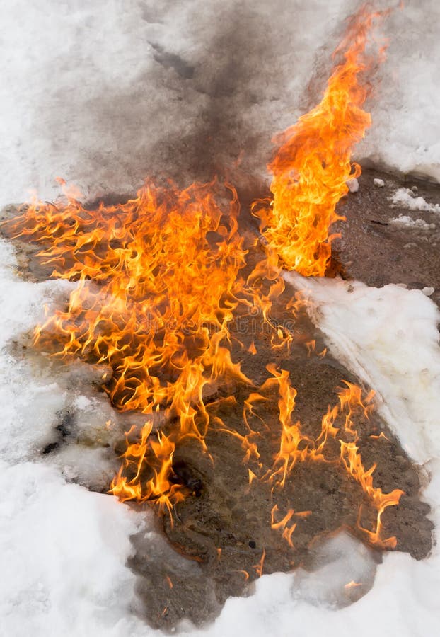 Fiery Flame on the White Snow in Winter Stock Photo - Image of nature ...