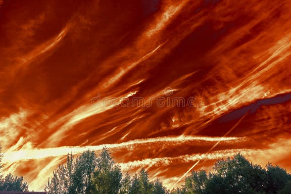 Fiery Flames, the Concept of Forest Fires, Cataclysms, Droughts and ...