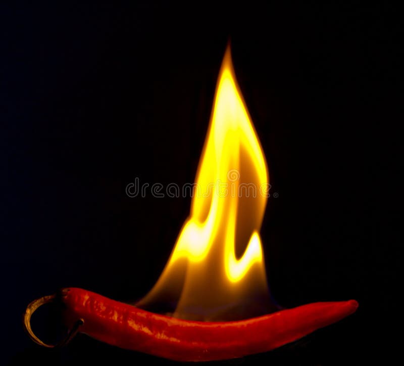 Fiery Hot Chili Pepper stock photo. Image of food, mexican - 51445184