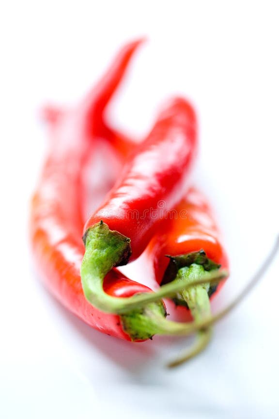 Fiery red hot chillis. stock image. Image of jalapeno - 8212577