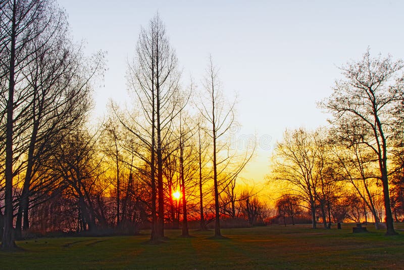 Fiery trees stock image. Image of winter, sunset, burning - 108255207
